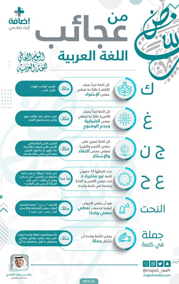 إنفوجرافيك من عجائب وغرائب اللغة العربية – المجلة المدنية